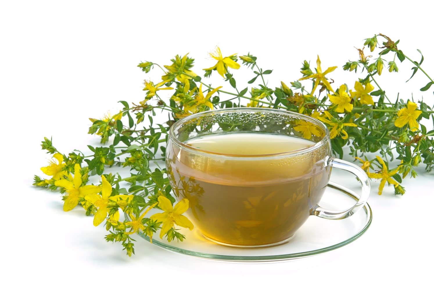 herbal remedy st. john's wort tea