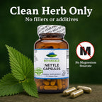 herbal remedy stinging nettle capsules