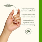 Herbal remedy Swanson Boswellia for pain relief