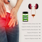 Herbal remedy with dandelion extract