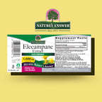 herbal remedy with echinacea benefits