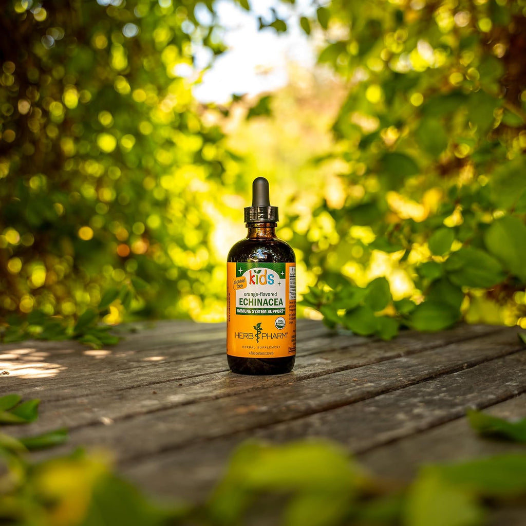 herbal remedy with echinacea benefits