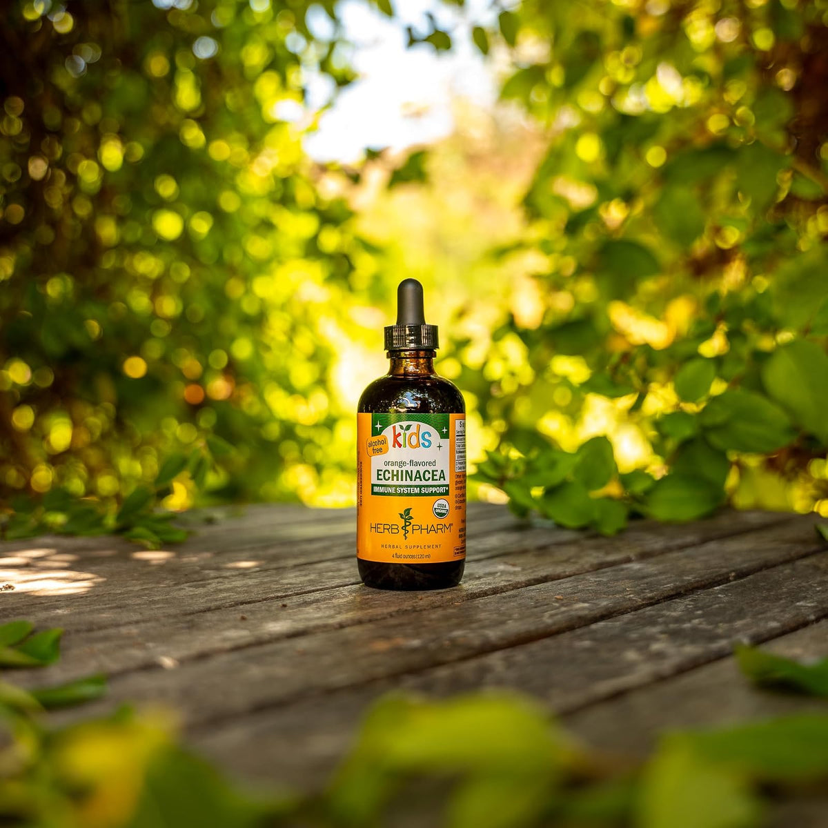 herbal remedy with echinacea benefits