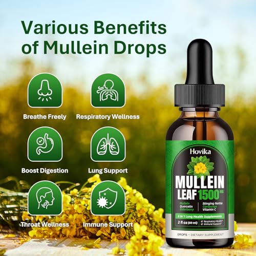 herbal remedy with mullein and cordyceps