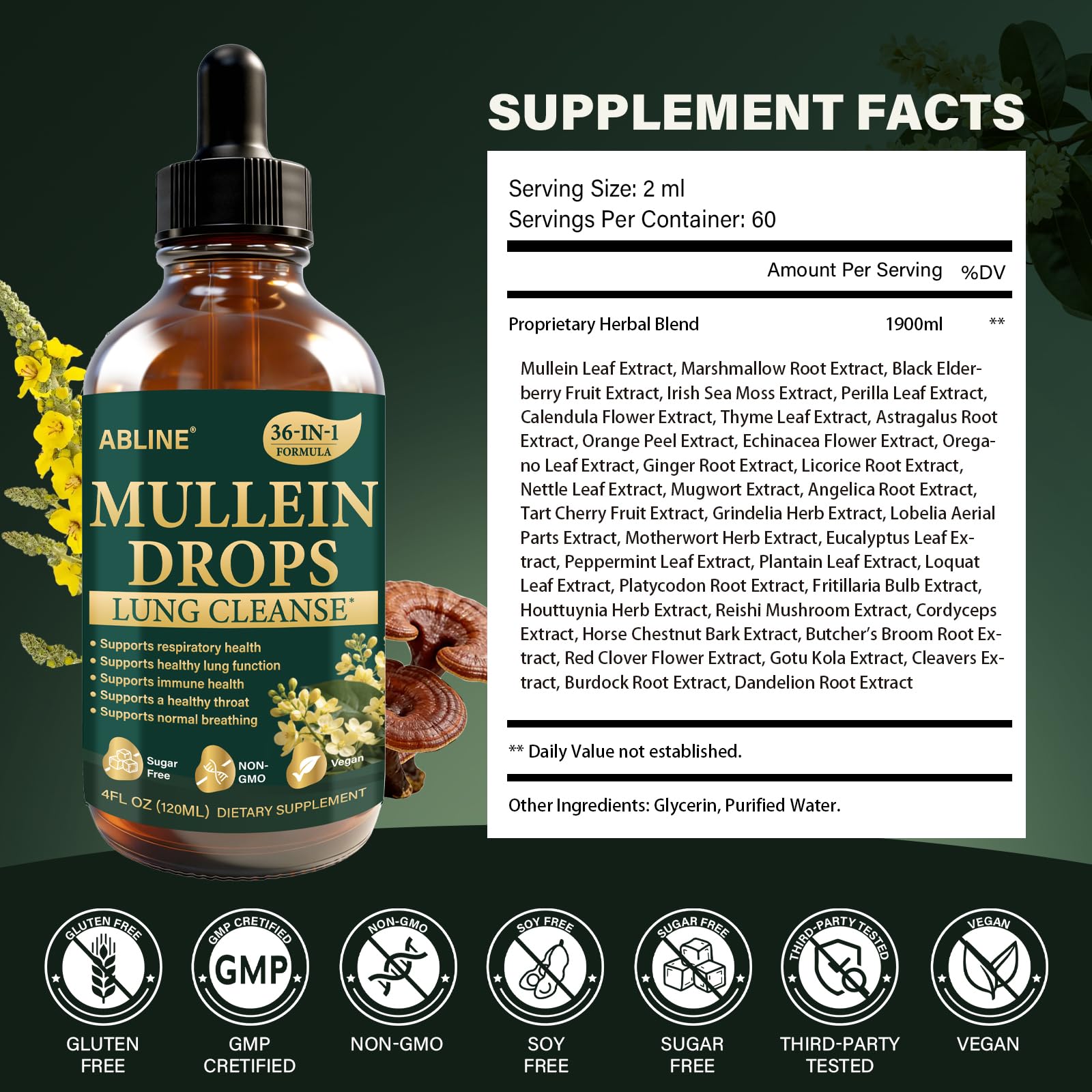 Herbal remedy with mullein extract