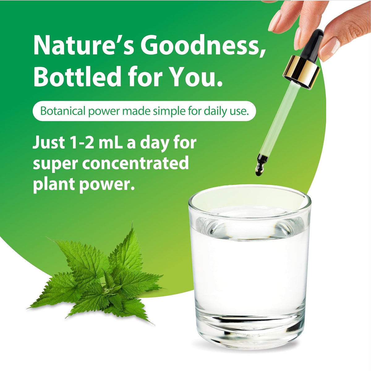 herbal remedy with nettle extract