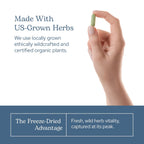 Herbal remedy with nettle quercetin