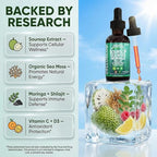 Herbal remedy with turmeric curcumin