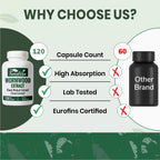 herbal remedy wormwood complex benefits