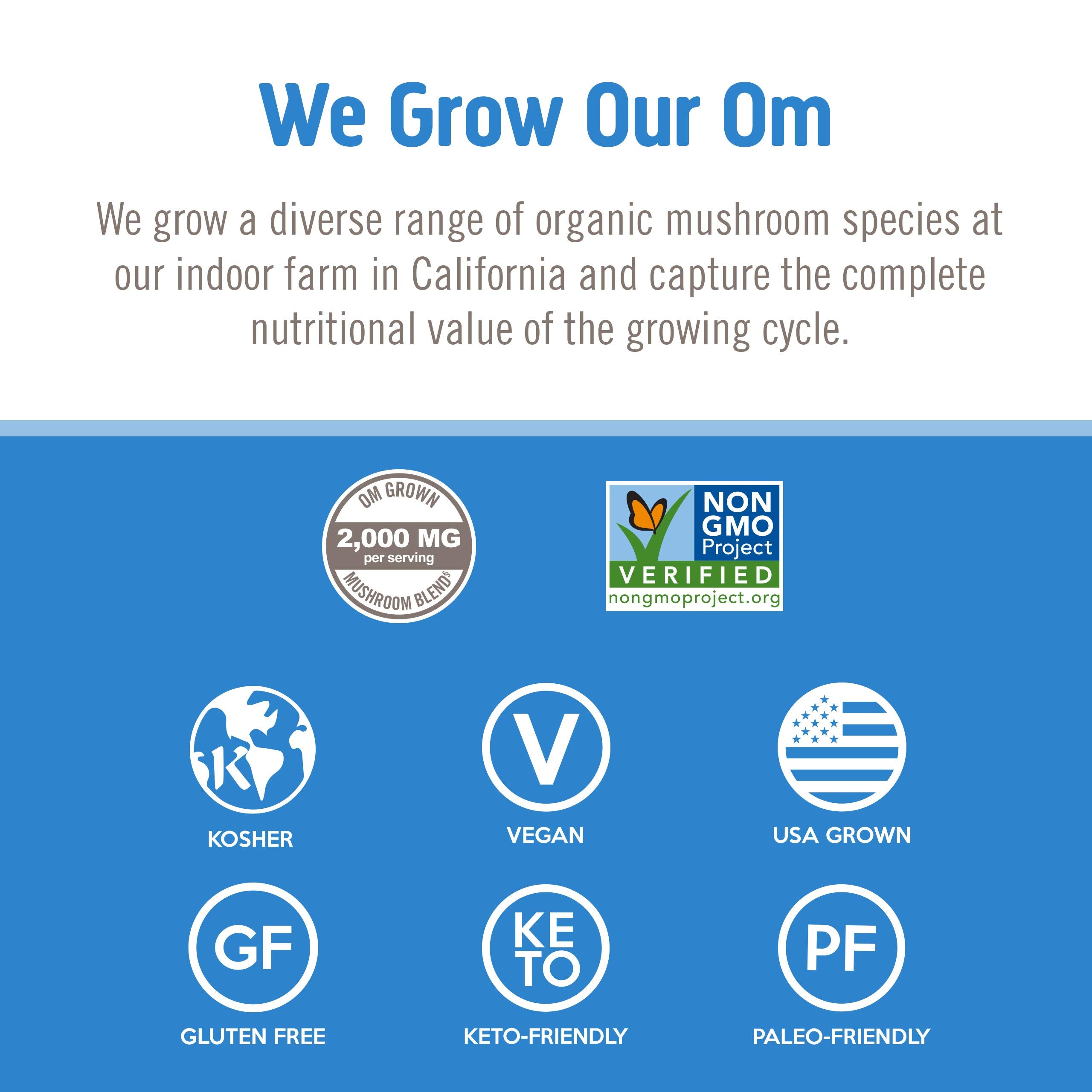 herbal respiratory health with mushrooms