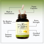 Herbal Roots 500 mg St. John's Wort
