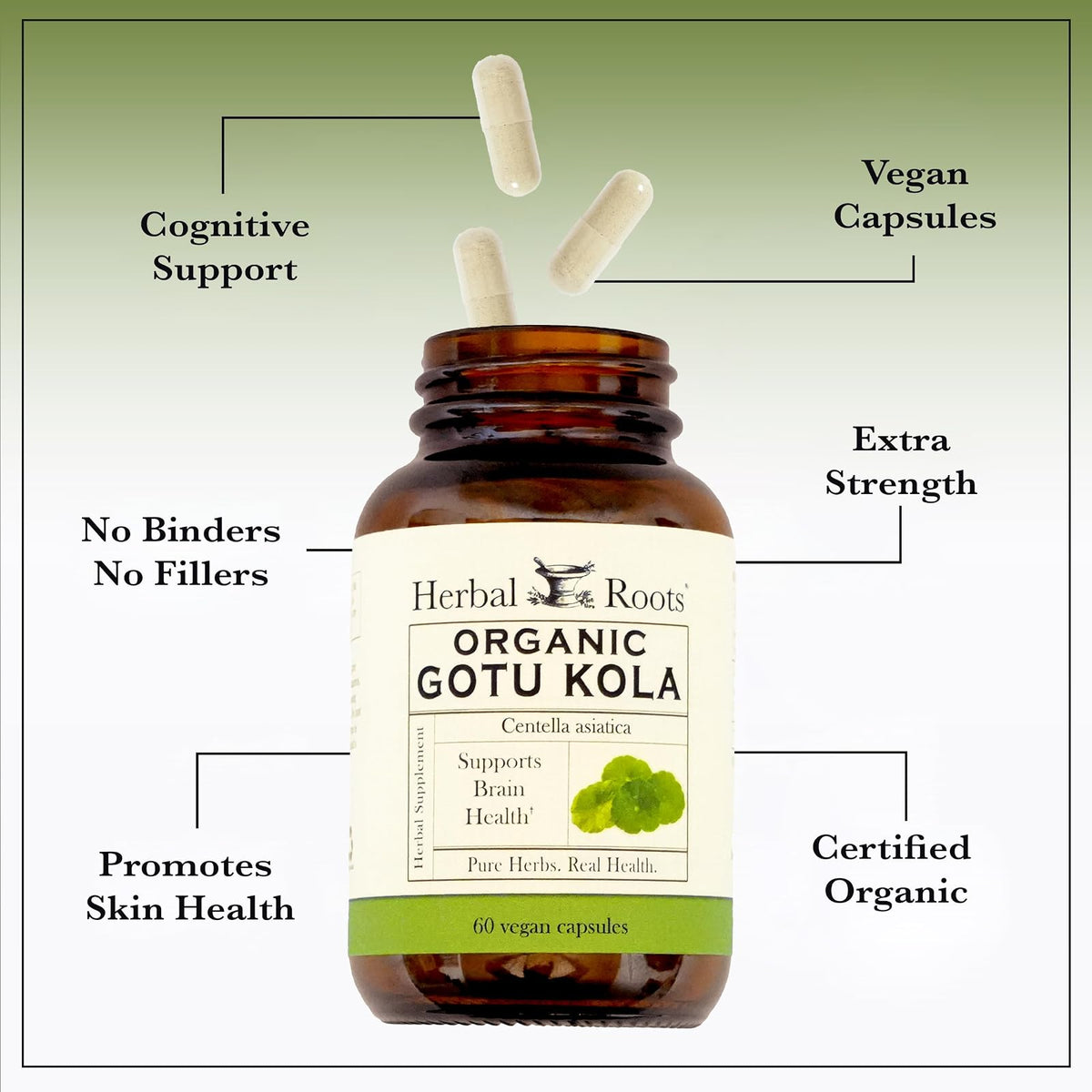 Herbal Roots cognitive support capsules