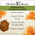 Herbal Roots cordyceps health benefits