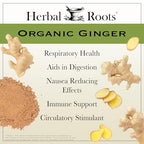 Herbal Roots ginger tea benefits