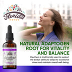Herbal Roots ginseng extract