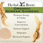 herbal roots panax ginseng benefits