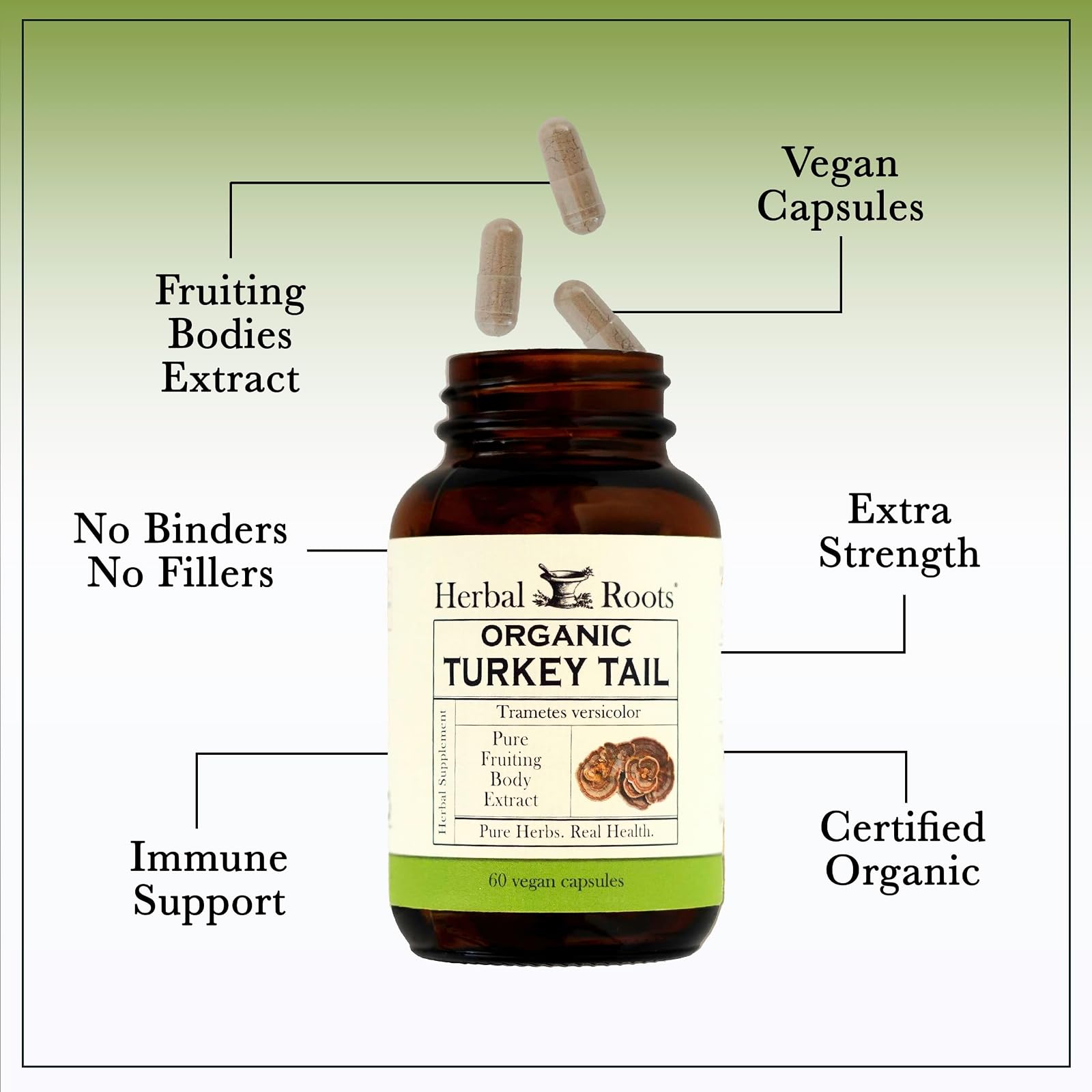 Herbal Roots Turkey Tail extract benefits