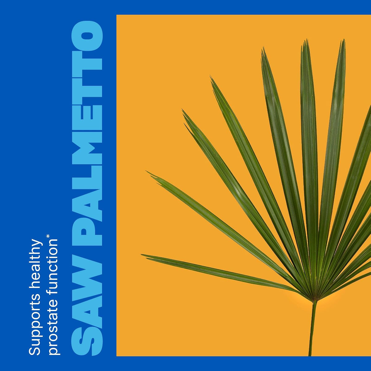 herbal saw palmetto for hair support