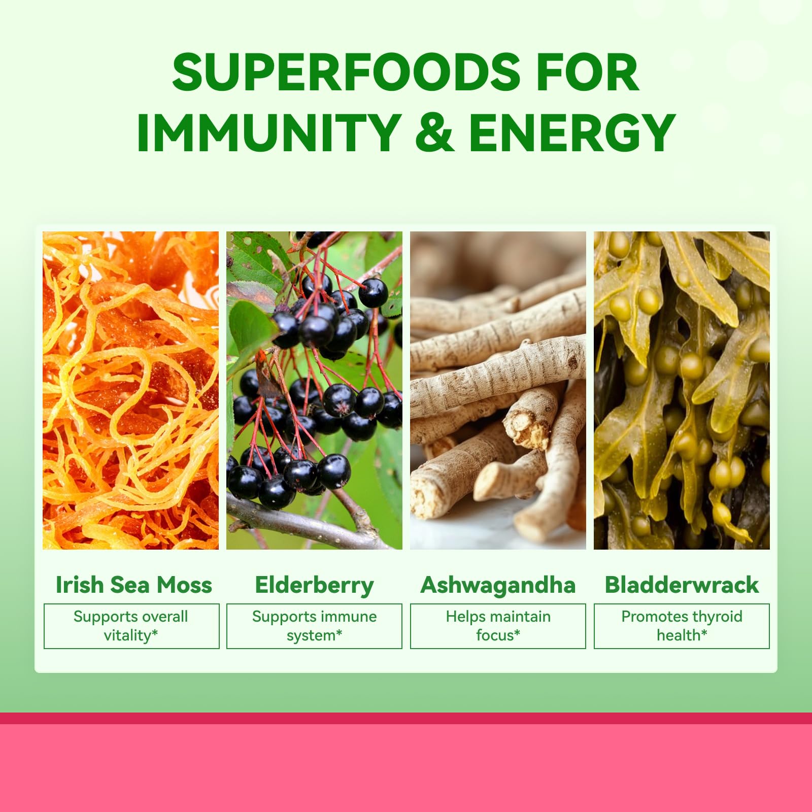 herbal sea moss for digestive health