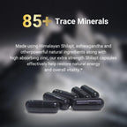 herbal shilajit capsules for endurance