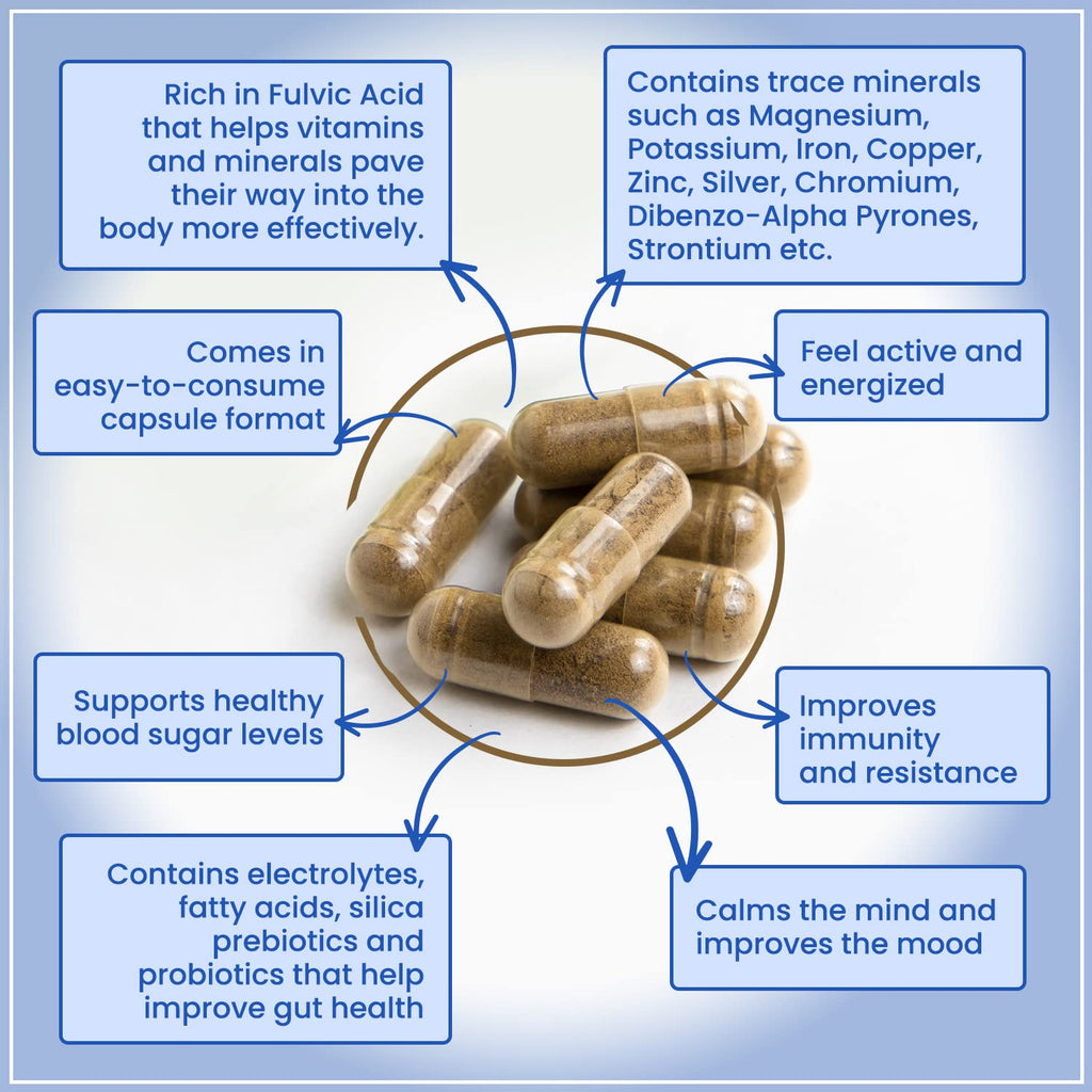 herbal shilajit capsules for health
