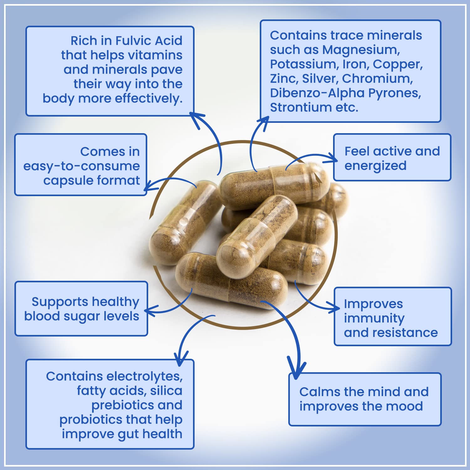 herbal shilajit capsules for health
