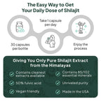 herbal shilajit capsules for recovery