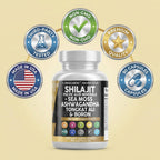 herbal shilajit for immune support