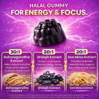 Herbal Shilajit gummies for mental clarity