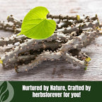 Herbal solution for digestive health