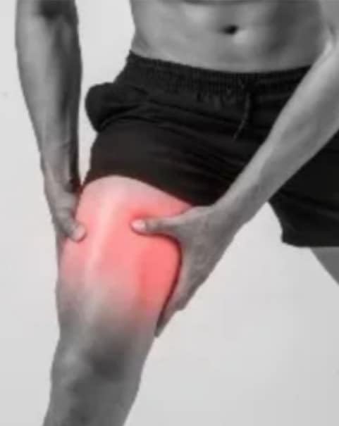 herbal solution for kidney wellness