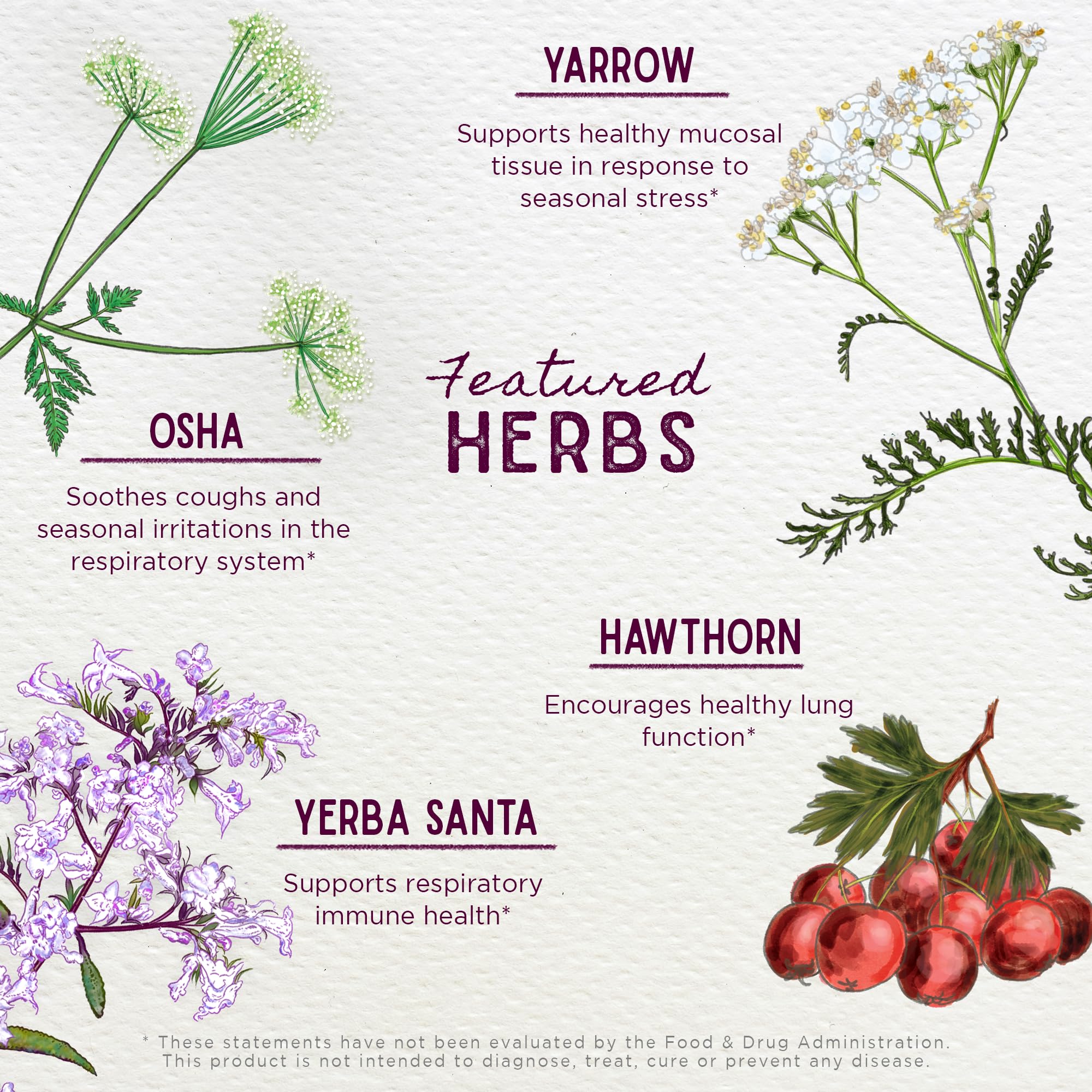 herbal solution for respiratory wellness