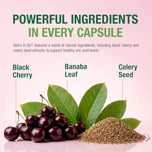 herbal solution for uric acid management