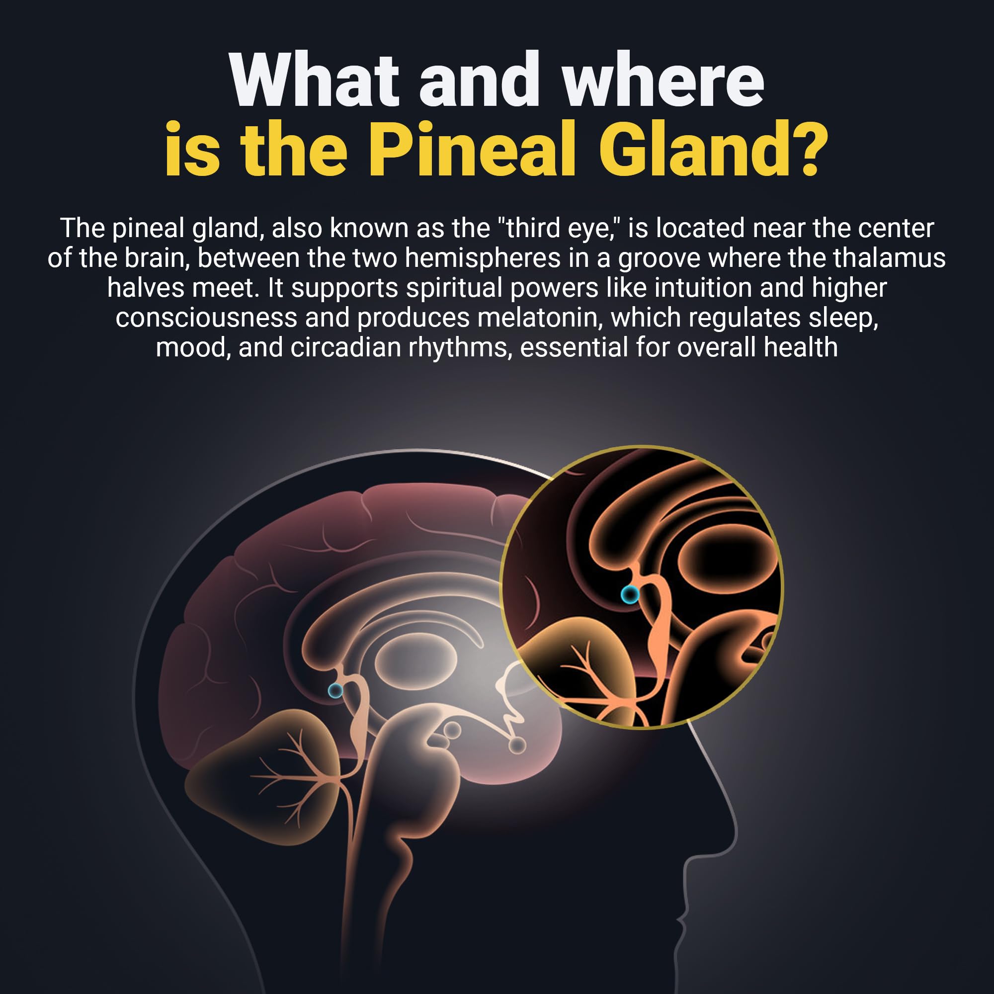 herbal solutions for mental wellness