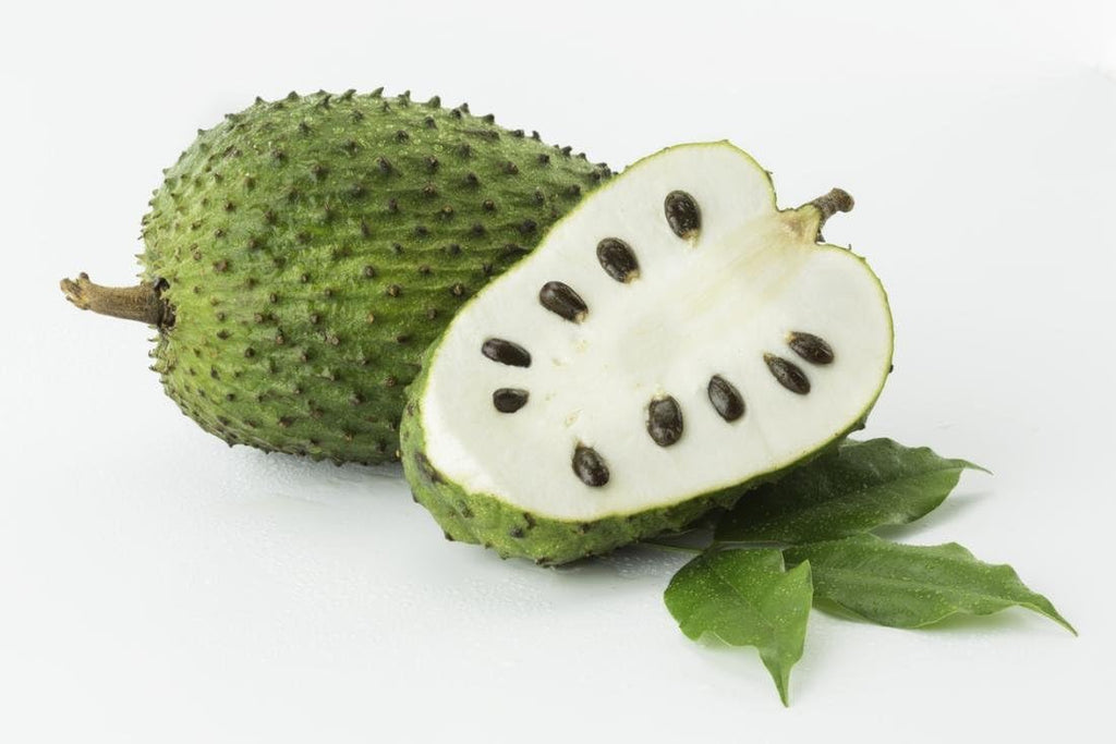 Herbal Soursop Graviola Tea Pods