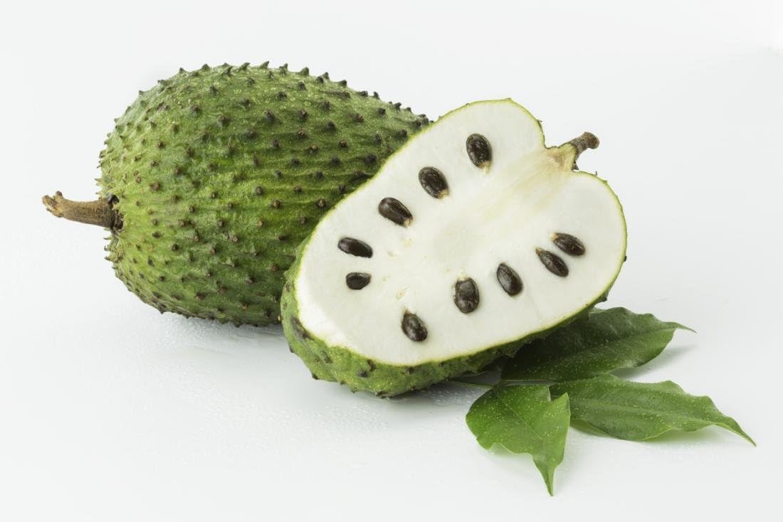 Herbal Soursop Graviola Tea Pods