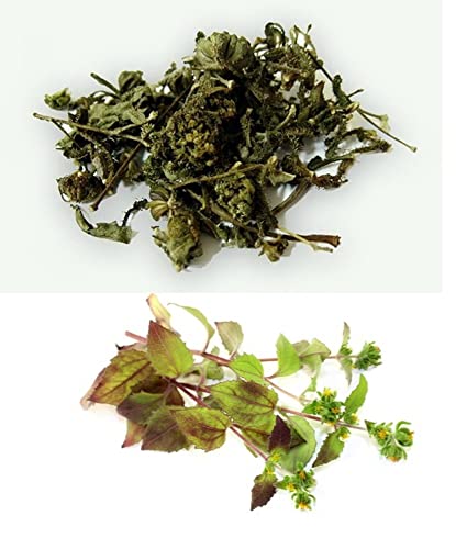 herbal st. john's wort benefits