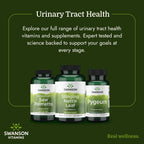 herbal stinging nettle for men's health