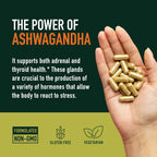 herbal supplement ashwagandha for wellness
