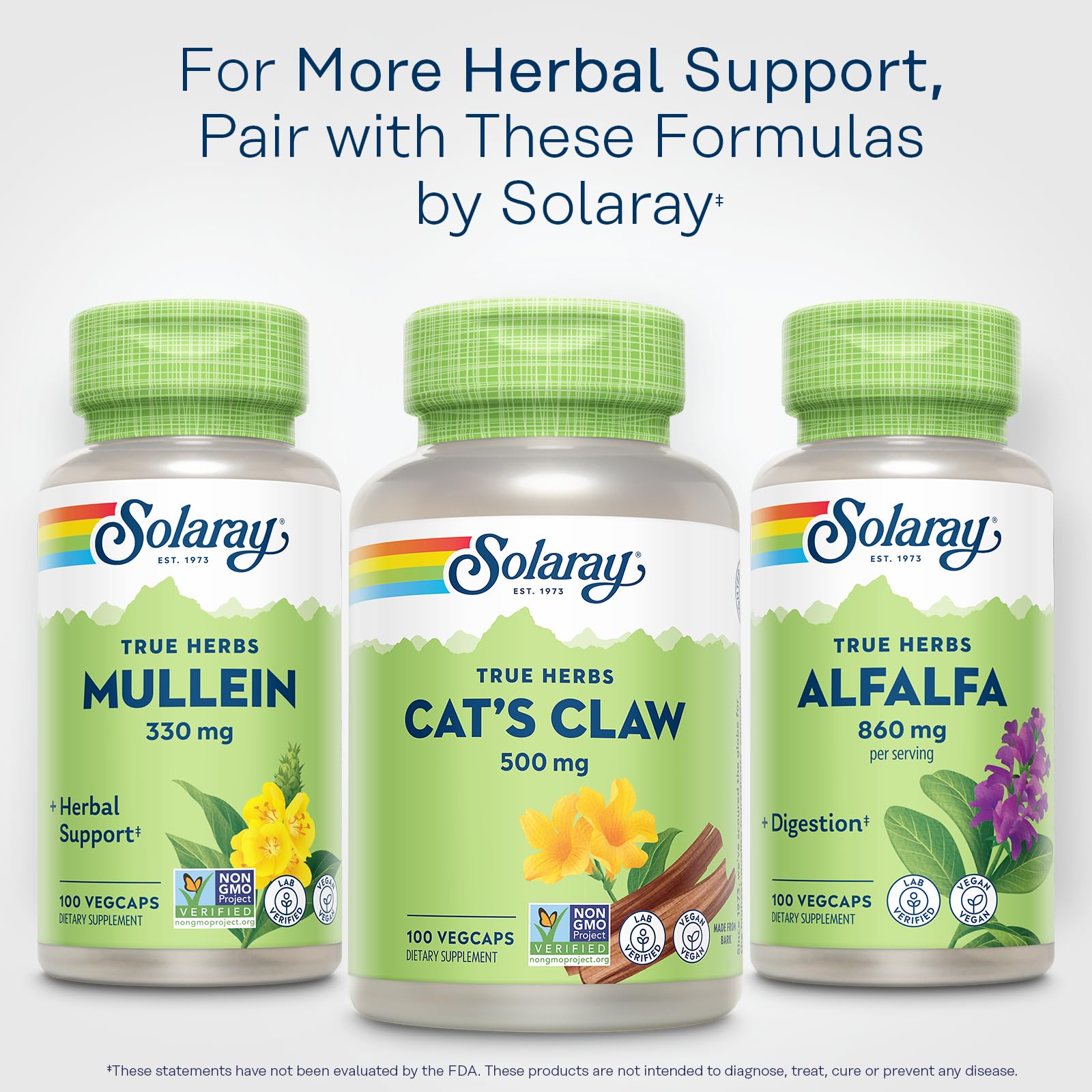 Herbal supplement Cat's Claw capsules