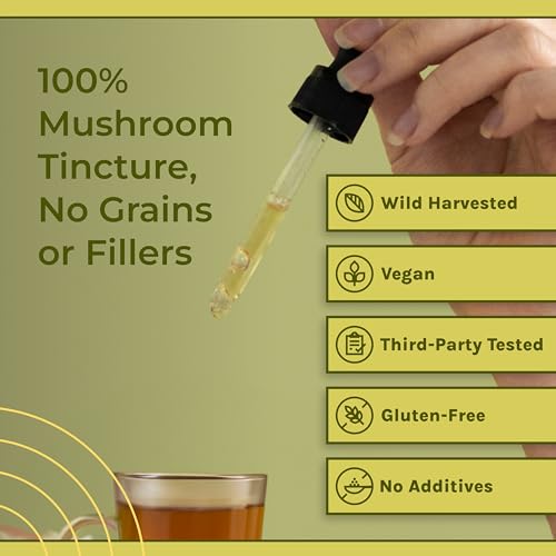 Herbal supplement chaga mushroom tincture