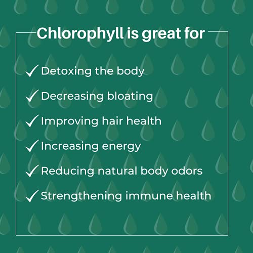 herbal supplement chlorophyll benefits