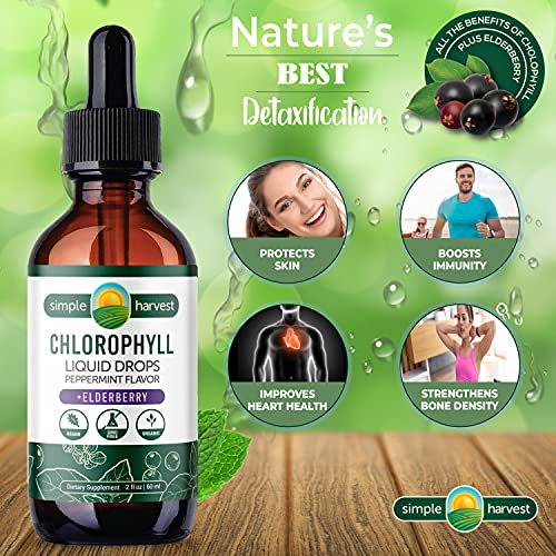 herbal supplement chlorophyll for detox