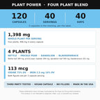 herbal supplement chlorophyll for wellness