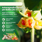 herbal supplement for adrenal health