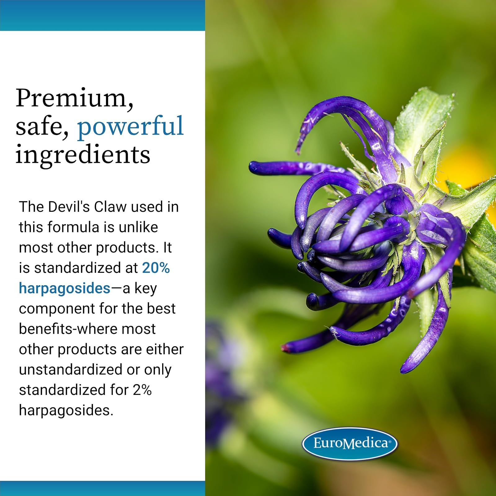 herbal supplement for arthritis relief