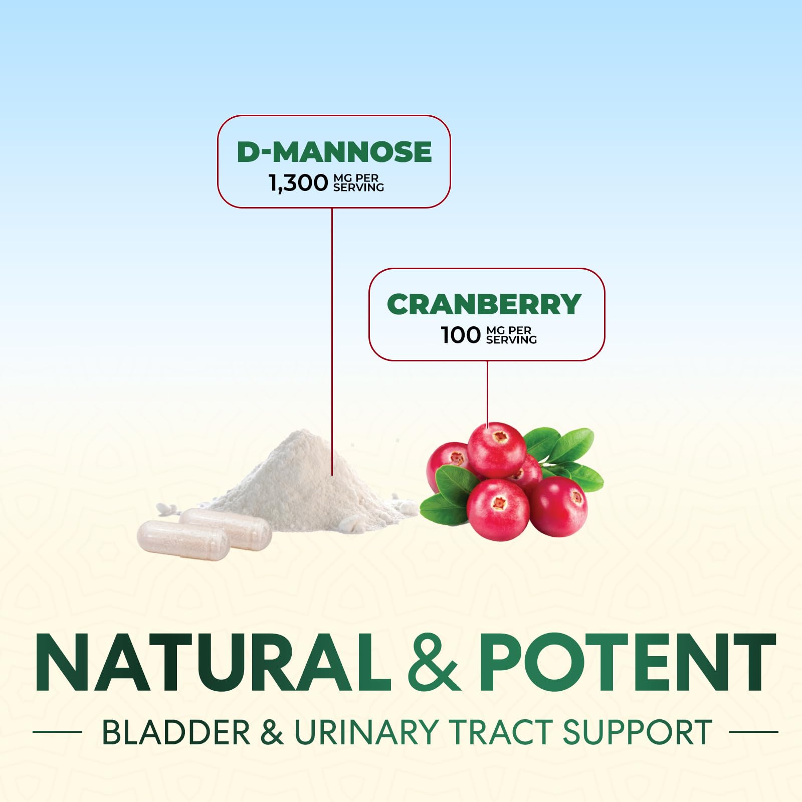 herbal supplement for bladder wellness