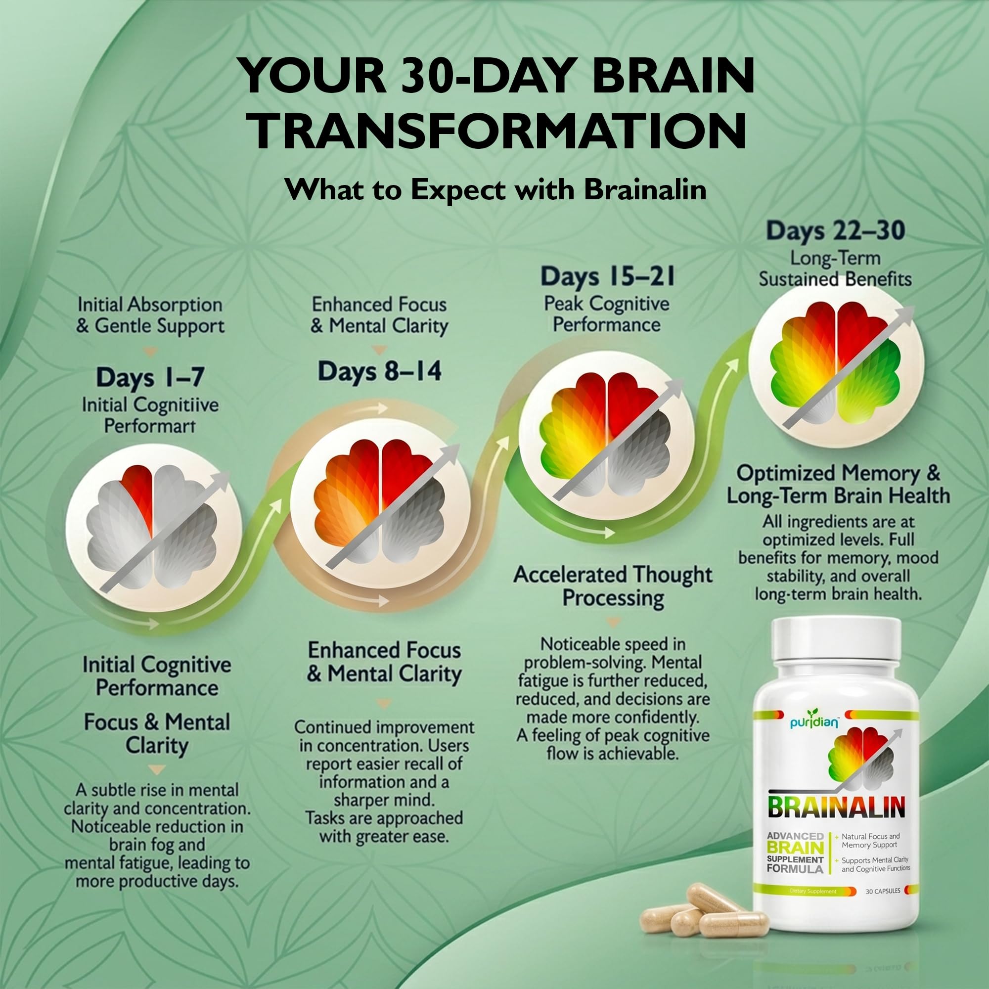 herbal supplement for brain function