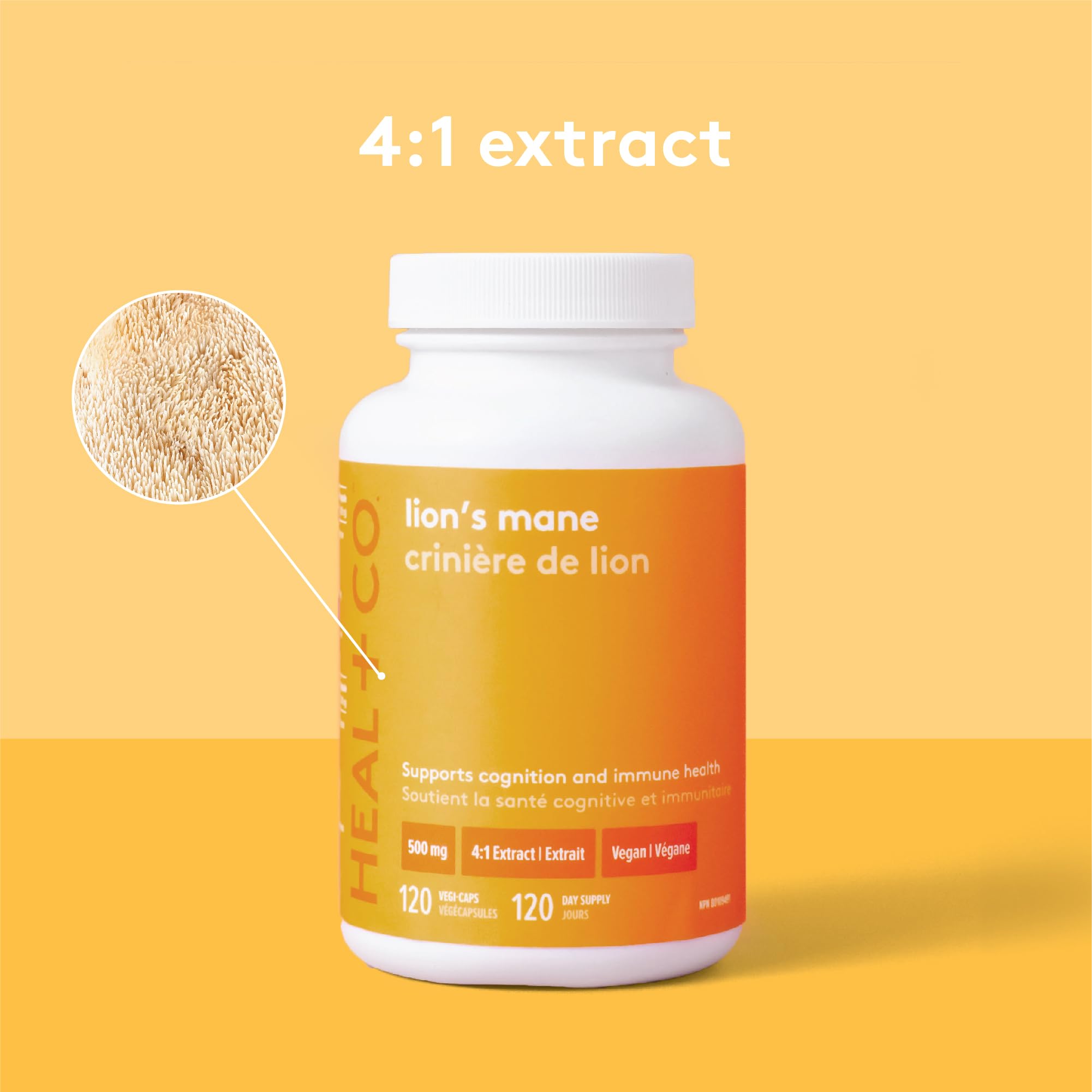 herbal supplement for brain health