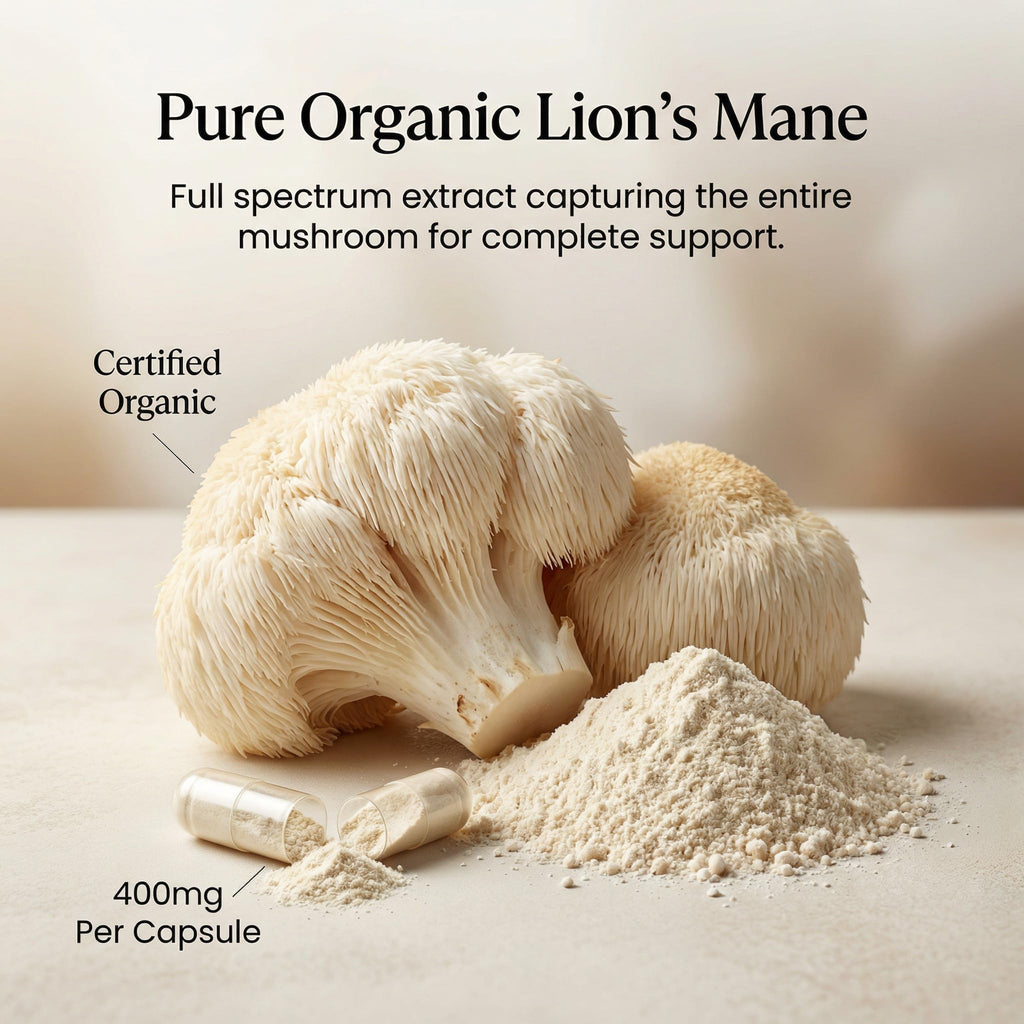 Herbal supplement for brain health